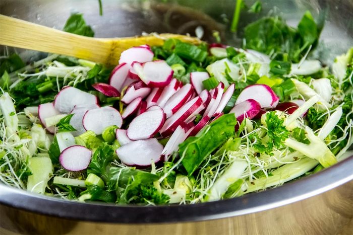 Fennel, Herb & Sprouts Salad with Lemon Vinaigrette